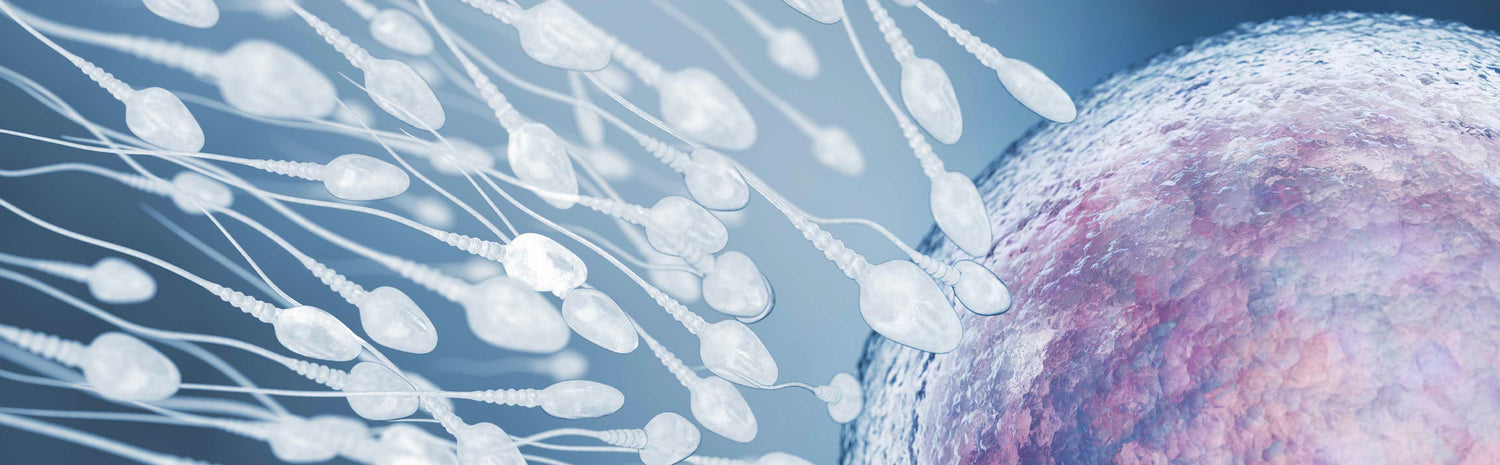 10 Vitamins You Should Take For Reproductive Health – FuelOrganics Vitamins